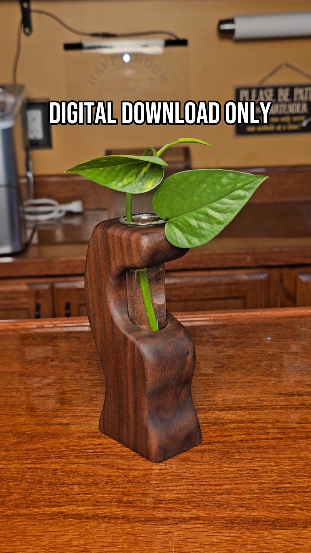Wooden Propagation Vase Woodworking Plan | Printable PDF Template ...